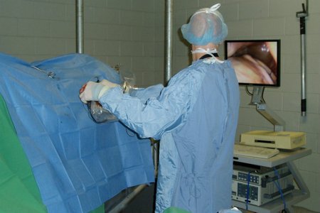 Cambridge Equine Hospital | Services | Surgery